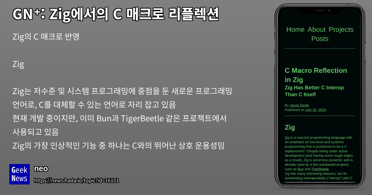 Zig에서의 C 매크로 리플렉션 | GeekNews