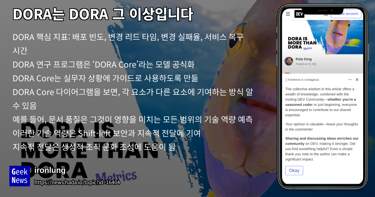 DORA는 DORA 그 이상입니다 | GeekNews