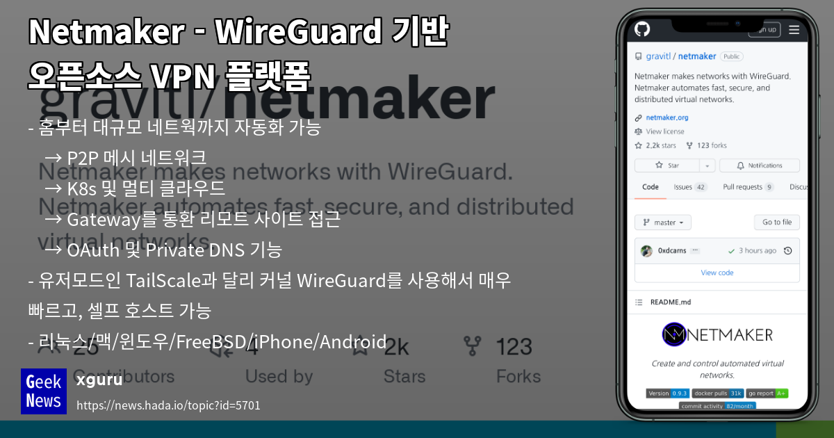 Netmaker - WireGuard 기반 오픈소스 VPN 플랫폼 | GeekNews